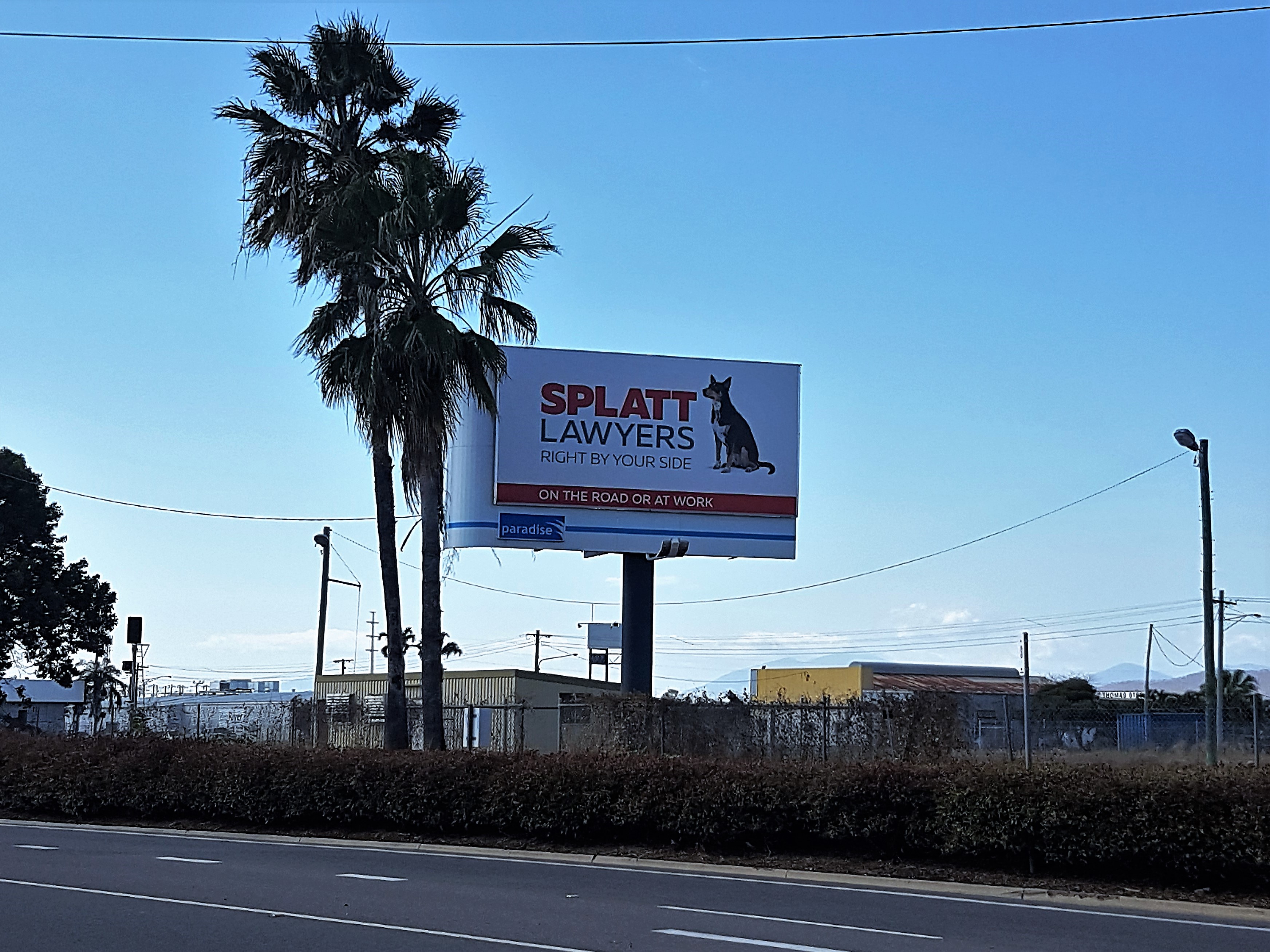 Splatt 2 – Domainer